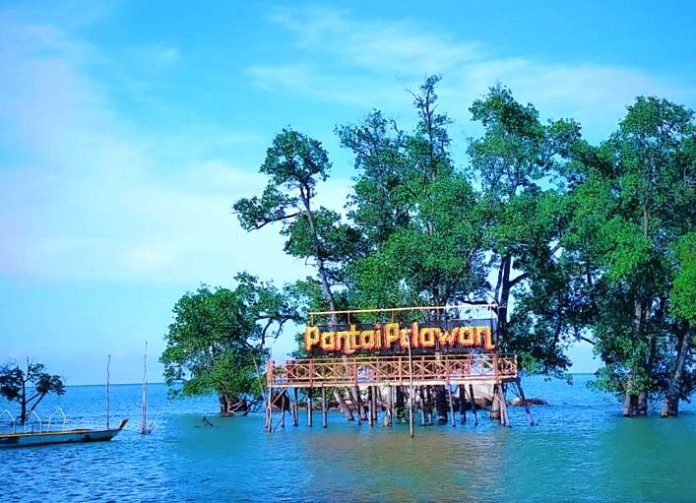 Pantai Pelawan, Objek Wisata Menawan Berpohon Rindang dengan Hembusan ...
